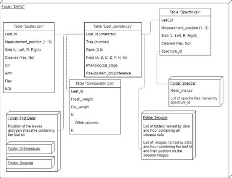 6 Database Structure Download Scientific Diagram