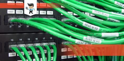 Patch Panel Vs Switch What Is The Difference And Purpose Of Each One Computer Guy