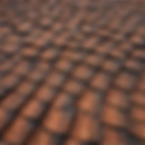 Fgfr2 Structure Function And Pathophysiology Insights