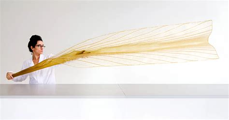 Neri Oxman S Contributions To Parametric Design And Biomimicry