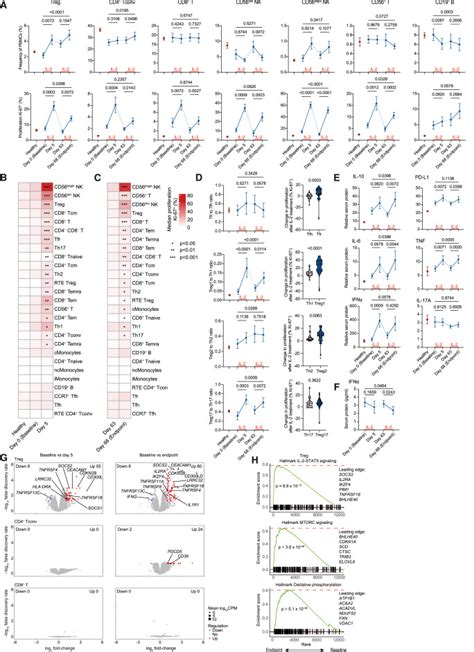 Interleukin 2 Immunotherapy Reveals Human Regulatory T Cell Subsets