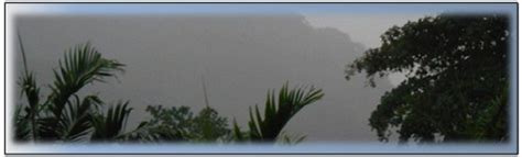 Asycudaworld Seychelles