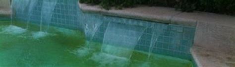 How Do I Get Rid Of Algae In My Pool