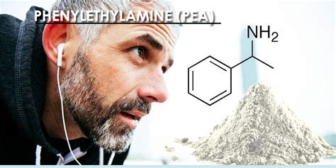 Phenylethylamine Importance And Facts We Bet You Dont Know
