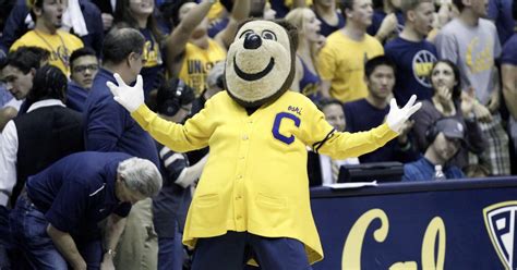The Cal 100 No 50 Oski Sports Illustrated Cal Bears News