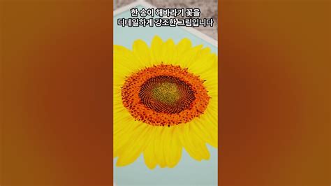 이우콘텐츠 일러스트 스토리 037 사랑바라기 Shorts 해바라기그림 일러스트 풍수인테리어 인테리어그림 Youtube