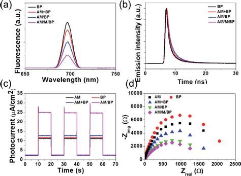 A Photoluminescence Spectra B Time Resolved Fluorescence Spectra