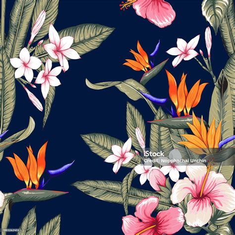 매끄러운 패턴 히비스커스 프란지파니 꽃 배경 벡터 일러스트레이션 수채화에 대한 스톡 벡터 아트 및 기타 이미지 수채화 패턴 0명 Istock