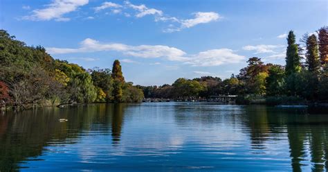 Yu Shinohara Japan Tokyo Amazinglife About Me