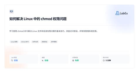 如何解决 Linux 中的 Chmod 权限问题 Labex 如何解决 Linux 中的 Chmod 权限问题 Labex