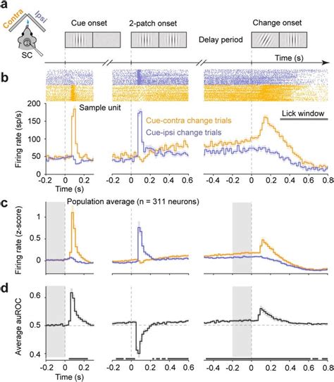 Neuronal Modulation In The Mouse Superior Colliculus During Covert Visual Selective Attention