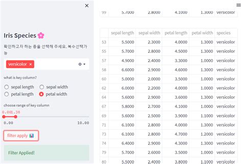 Python Streamlit 패키지를 이용한 대시보드 만들기 차라투 블로그