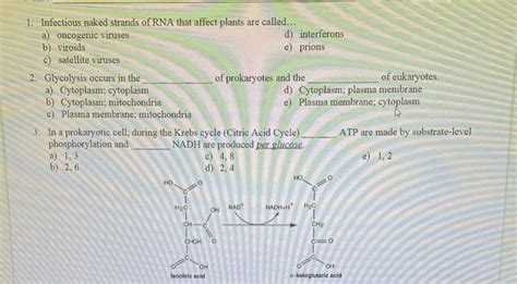 Solved Infectious Naked Strands Of Rna That Affect Plants Chegg