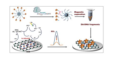 Cu Single Atom Nanozyme Mediated Electrochemiluminescence Biosensor For Highly Sensitive