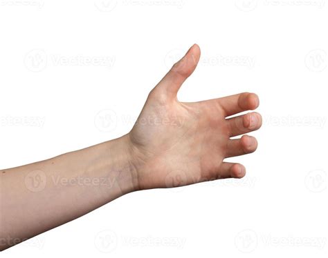 Holding Something Blank Empty Space Hand Gesture Isolated On White