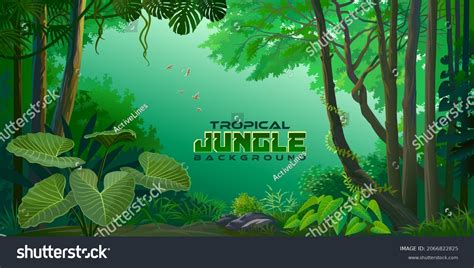 Rainforest Background