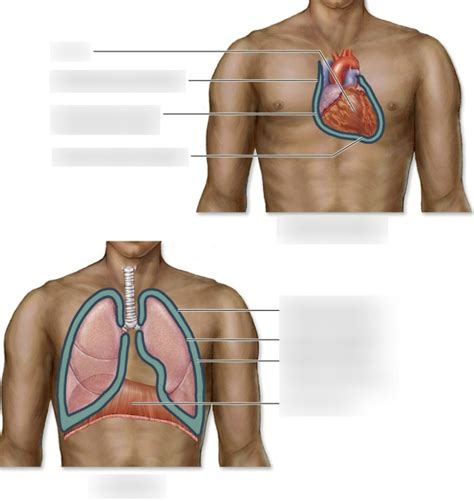 Chapter 1 Diagram Diagram Quizlet