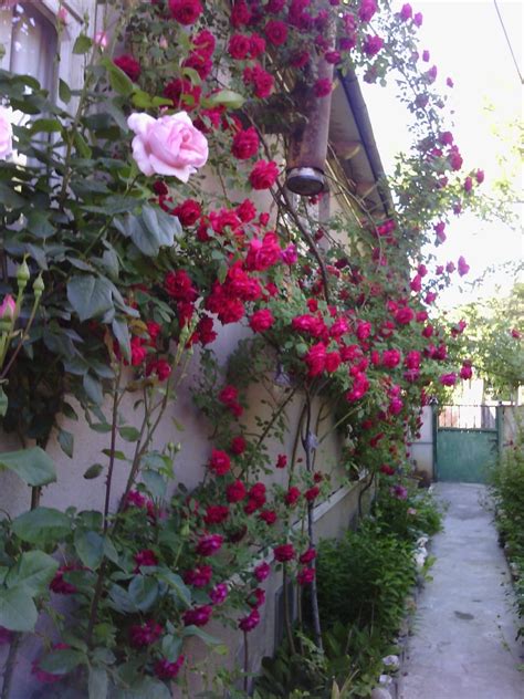 🏨საოჯახო სასტუმრო ბარაკონი ️ საოჯახო სასტუმრო ბარაკონი“ გიწვევთ რაჭაში ქალაქ ონში მშვიდ