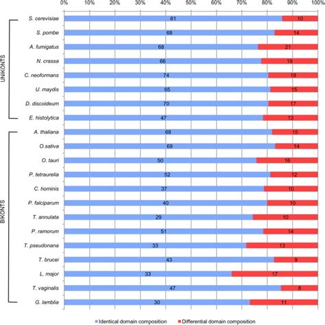 Conservation Of Functional Domains Composition Among Mammalian Download Scientific Diagram