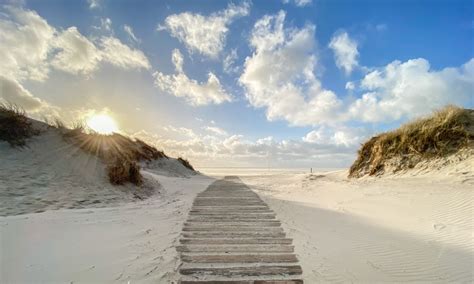 Naturlandschaft Greune Stee Auf Borkum