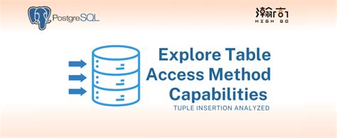 Home Highgo Software Inc