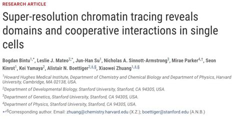 专家解读science 庄小威实验室揭示单细胞染色质超分辨显微结构 知乎