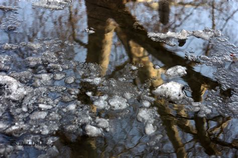 Национален институт по метеорология и хидрология филиал Пловдив