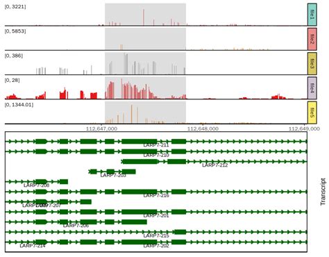 Incorrect Annotations · Issue 3 · Showteethggcoverage · Github