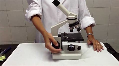 Partes de Microscopio Óptico YouTube