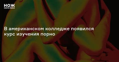 В американском колледже появился курс изучения порно Нож