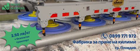 Студио за масажи и терапии Китайска карта на лицето разкрива с какво се бори тялото ви Ето