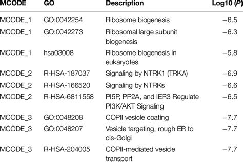 functional enrichment terms of the key modules of the ppi network download scientific diagram