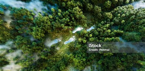 초록빛 숲에 있는 발자국 모양의 호수로 인간이 지형에 미치는 영향을 상징하며 기후 보호와 자연 보호의 색조가 있습니다 3d 렌더링 지속 가능한 자원에 대한 스톡 사진 및