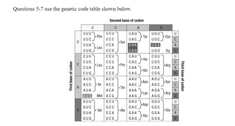 Solved Questions 5 7 ﻿use The Genetic Code Table Shown