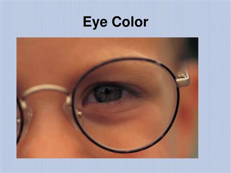 Ppt Heredity Powerpoint Presentation Free Download Id 4153157