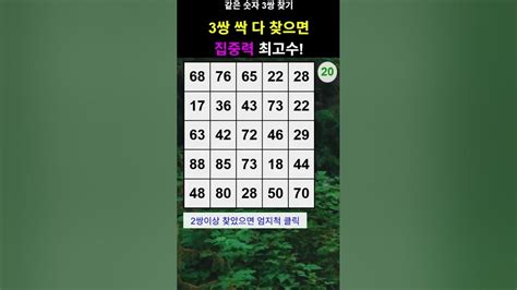 같은숫자 3쌍찾기 모두 찾으면 집중력 최고수 Youtube
