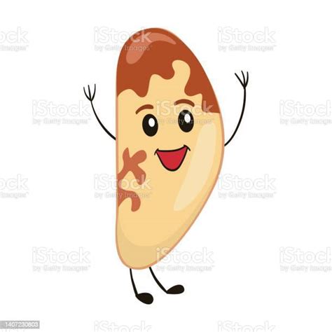브라질 너트 귀여운 캐릭터 재미있는 친절한 호두 피스타치오 아몬드 헤이즐넛 마카다미아 해바라기 씨앗 플랫 벡터 일러스트 푸드 견과류 껍질에 대한 스톡 벡터 아트 및 기타