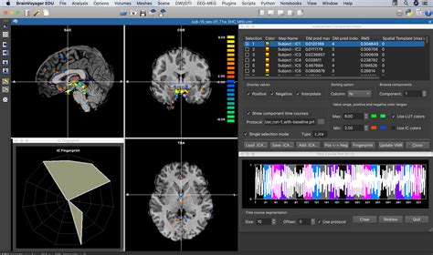 Tutorial 10 Ica — Newbi 4 Fmri
