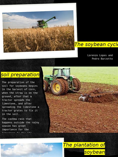 The Soybean Cycle Pdf