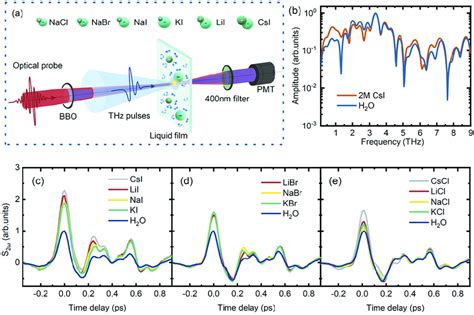 Coherent Detection Of Thz Pulse With Different Liquid Films A Download Scientific Diagram