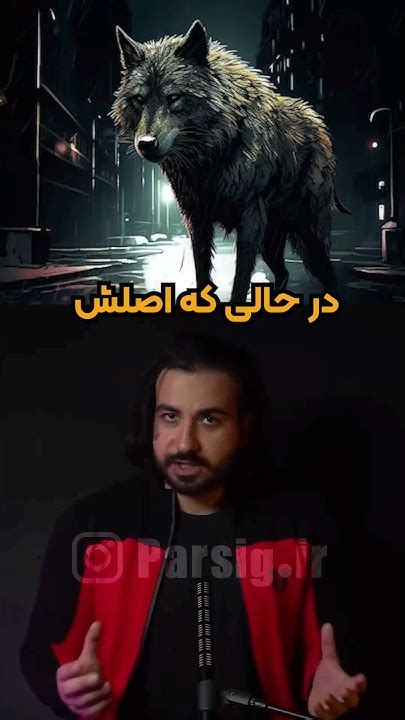 تاریخ جالب فرهنگ پارسی ایران ما ادبیات مثل ضرب المثل دانستنی فکت پارسیگ تاریخی Iran