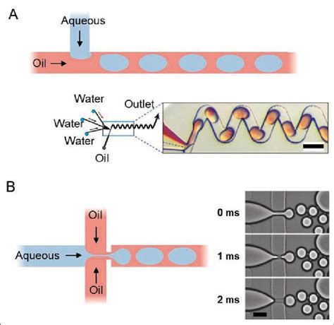 Methods For The Formation Of Droplets A Shear Force Technique For Download Scientific