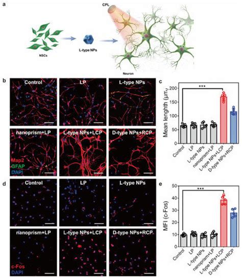 Molecules Free Full Text Interface Chirality From Biological