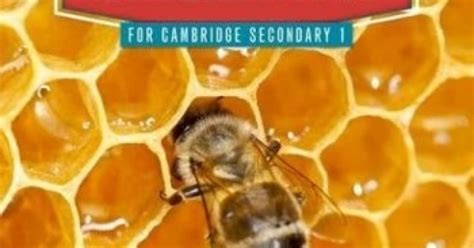ESSENTIAL MATHEMATICS FOR CAMBRIDGE LOWER SECONDARY STAGE 9 ISBN
