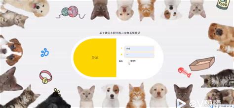 Java毕业设计基于微信小程序的云宠物系统 附源码 Csdn博客