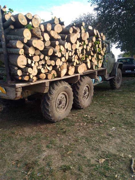 Сигнал за незаконна сеч Защити Гората