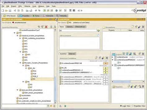 1 A Screenshot Of The Phosphatase Ontology In The Owl Ontology Editor