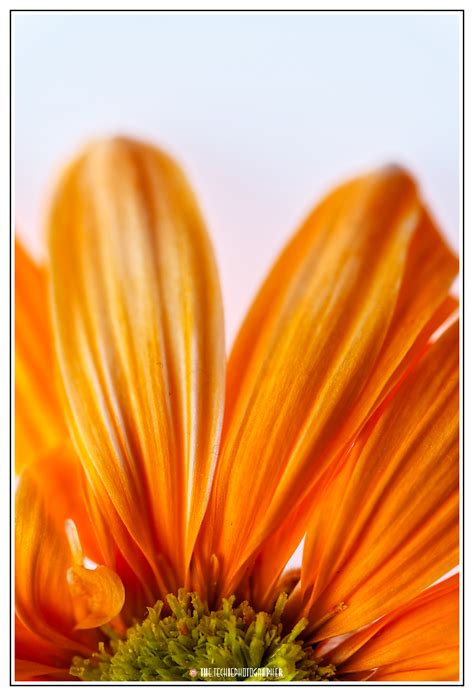 Solved Trying To Figure Out Why My Images Werent Selecte Adobe