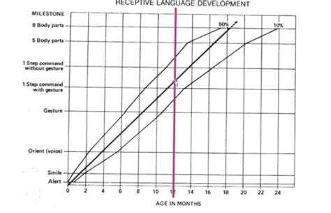 B14 The Milestones Of The Normal Psychomotor Development Flashcards