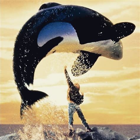 Добрые семейные фильмы для вечернего просмотра